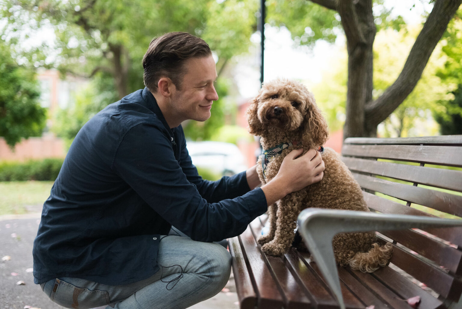 PetCann | PetCann – CBD for Pets